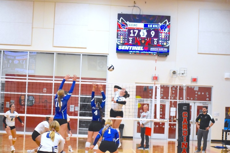 Pierce Public Schools - Lady Jays Volleyball